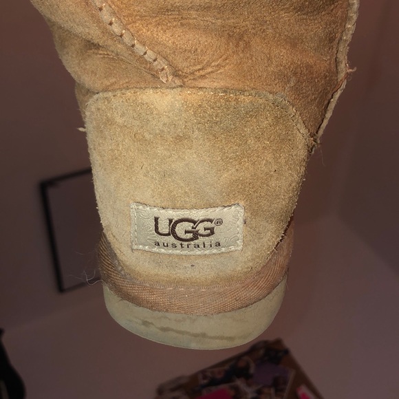 UGG | Shoes | Tall Classic Chestnut Ugg Boots Cleaning Kit | Poshmark